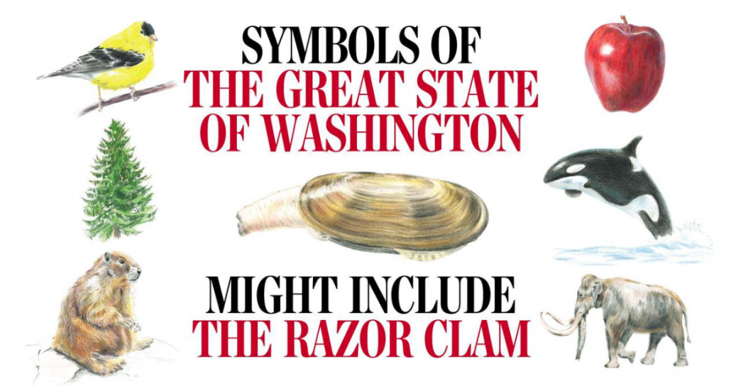 Razor Clam Culture – HELP MAKE THE PACIFIC RAZOR CLAM THE STATE CLAM